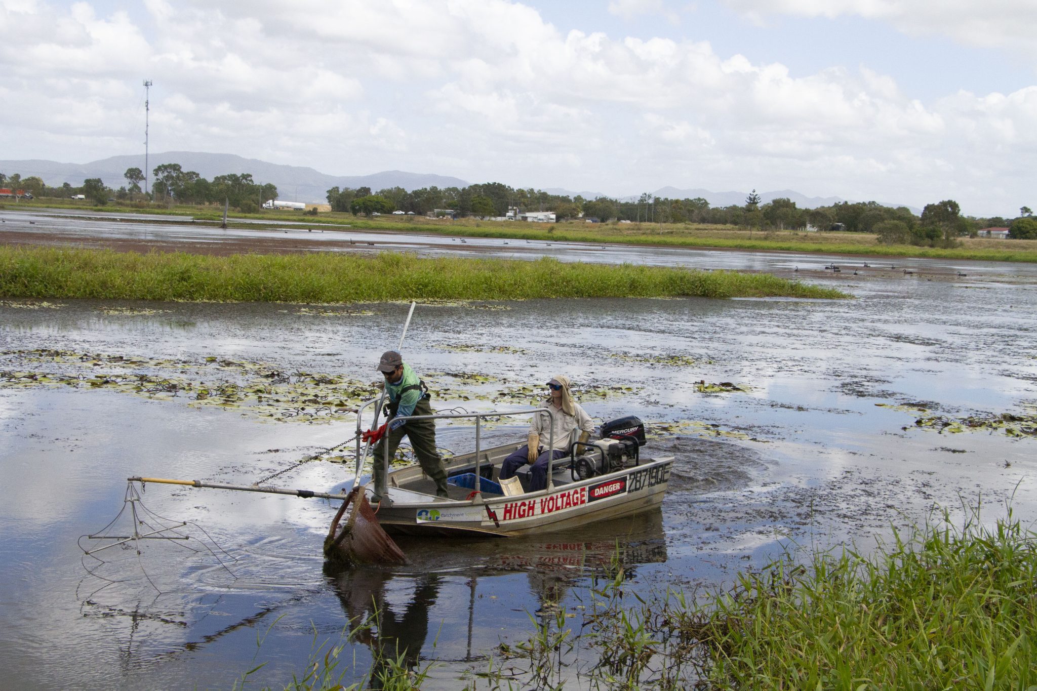 Between the Land and Sea: Protecting our Wetlands | Healthy Rivers to ...