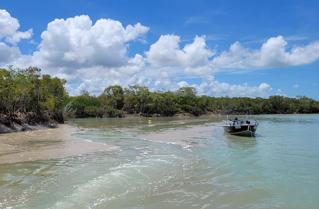 Carmila Creek Estuary Study | Healthy Rivers to Reef Partnership