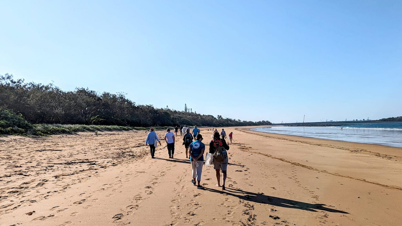 Three Decades of Turtle Monitoring | Healthy Rivers to Reef Partnership