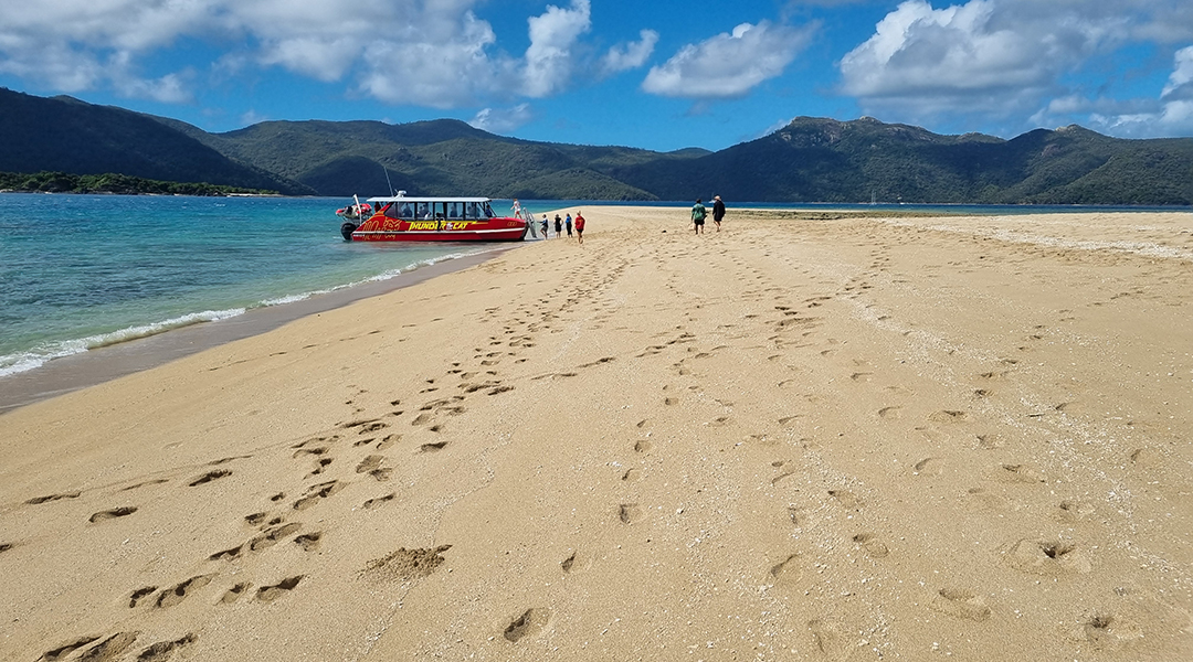 Project Blueprint - Data Reports | Healthy Rivers to Reef Partnership